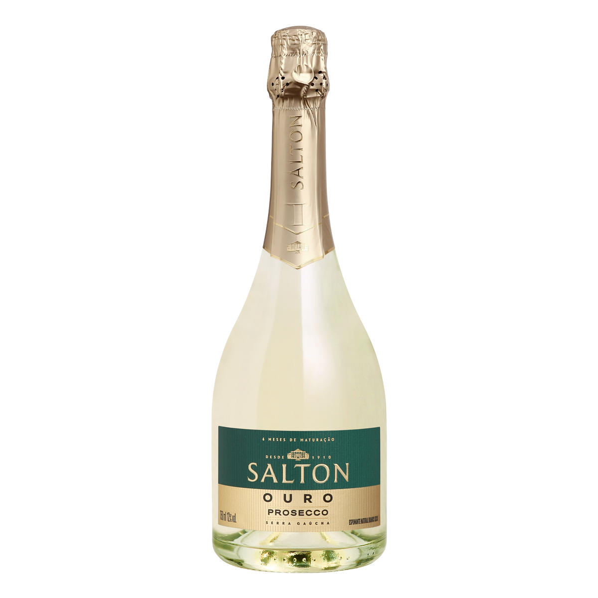 Espumante Salton Prosecco Ouro 750ml – Loja Salton